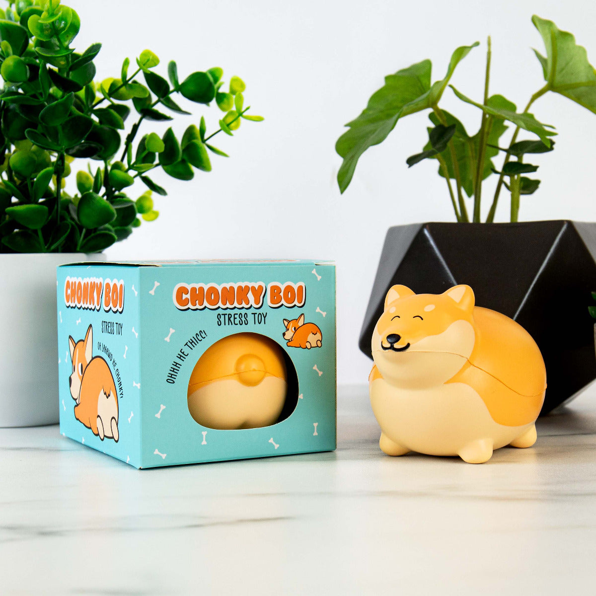 Chonky Boi Stressball: Das perfekte Geschenk zum Stressabbau!